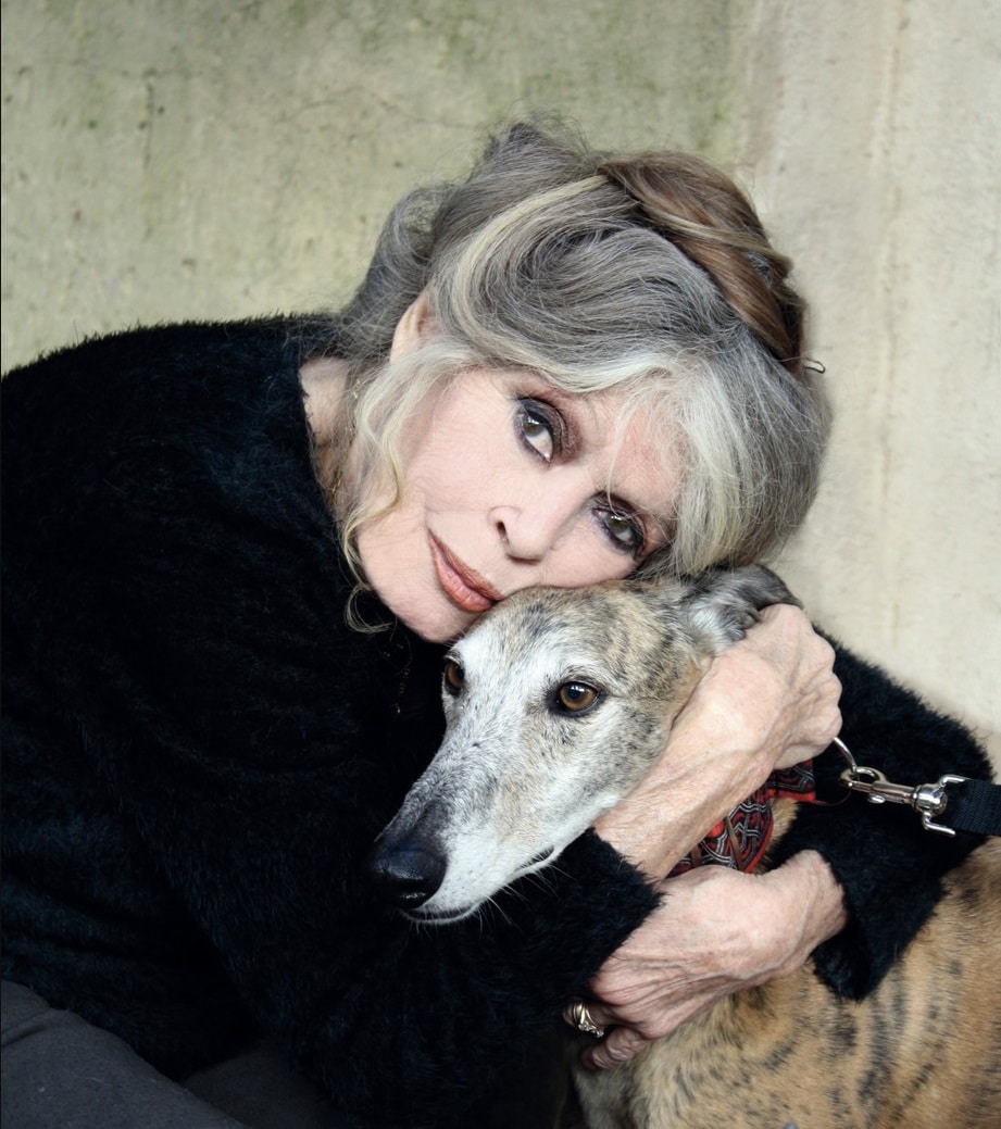 A mass in tribute to Brigitte Bardot celebrated in Nice on the day of ...